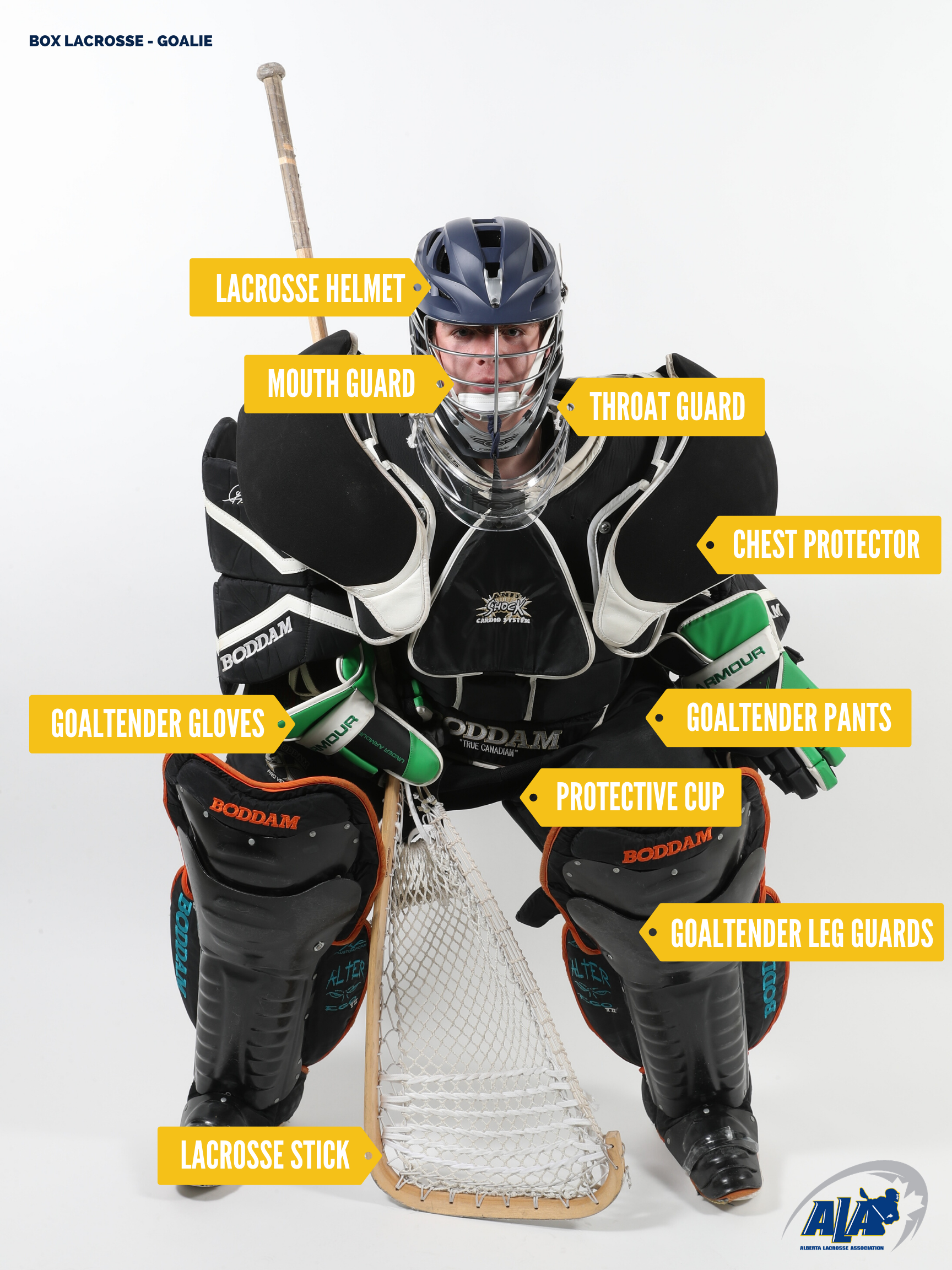 Alberta Lacrosse Association