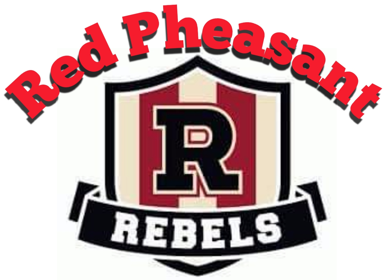 Fred Sasakamoose "Chief Thunderstick" National Hockey Championship ...
