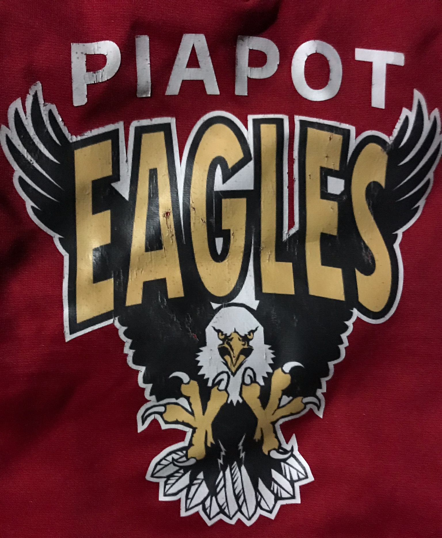 Fred Sasakamoose "Chief Thunderstick" National Hockey Championship ...