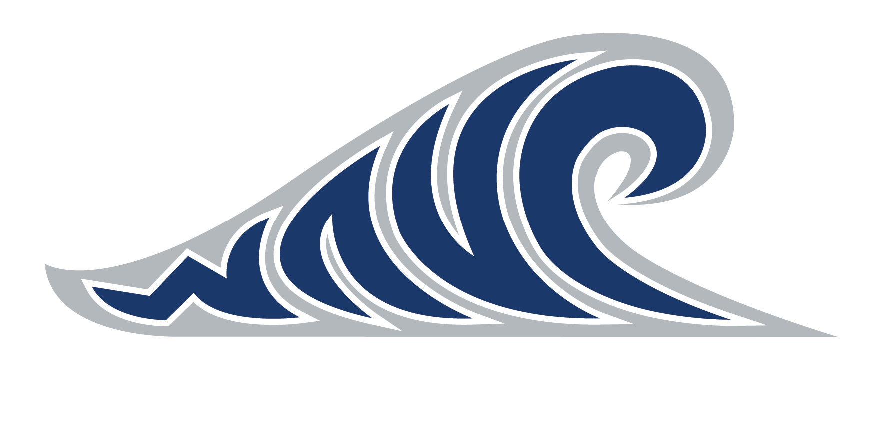 HSL - Hockey Super League : Website by RAMP InterActive