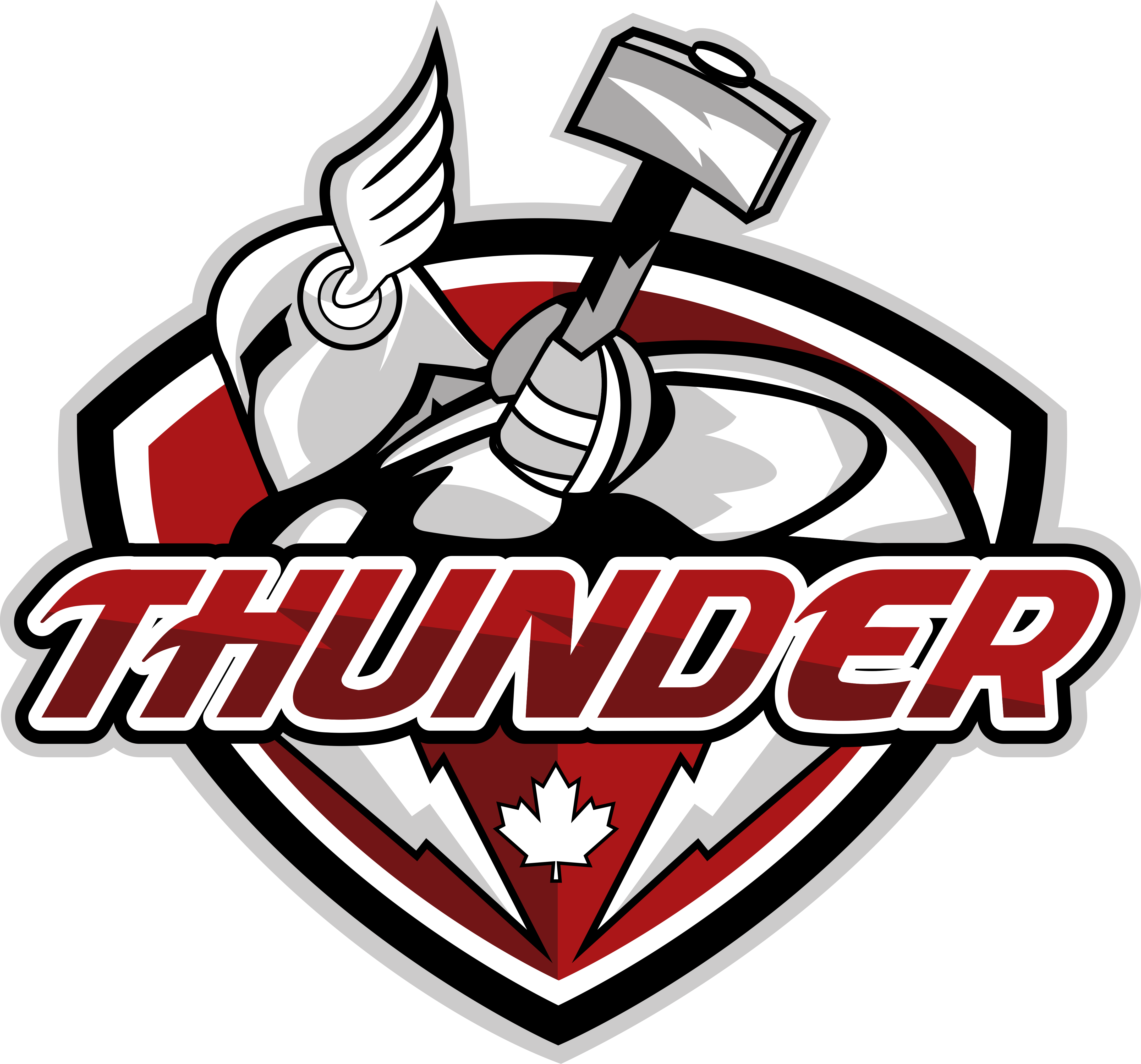 Capital City Knights - HSL - Hockey Super League : Website by RAMP ...