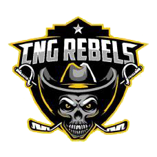 HSL - Hockey Super League : Website by RAMP InterActive