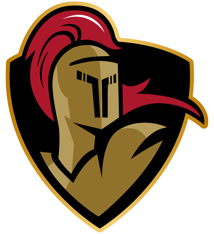 HSL - Hockey Super League : Website by RAMP InterActive