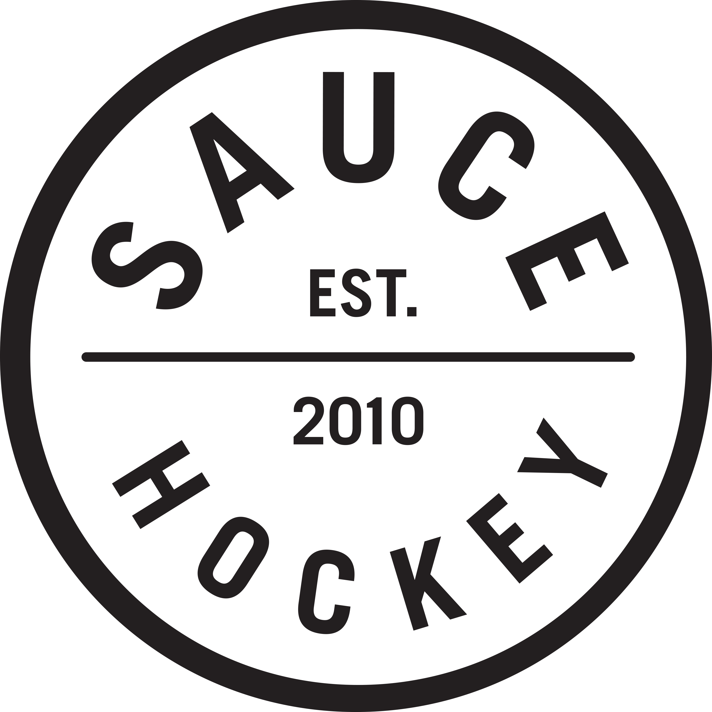 HSL - Hockey Super League : Website by RAMP InterActive