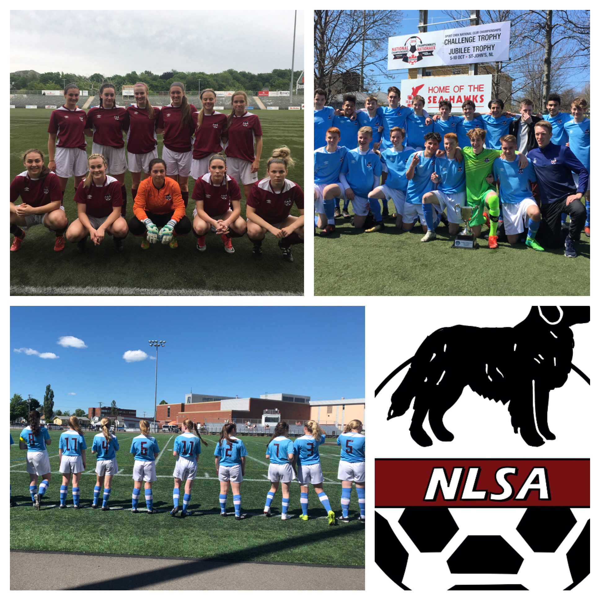 Newfoundland & Labrador Soccer Association : Website by RAMP InterActive