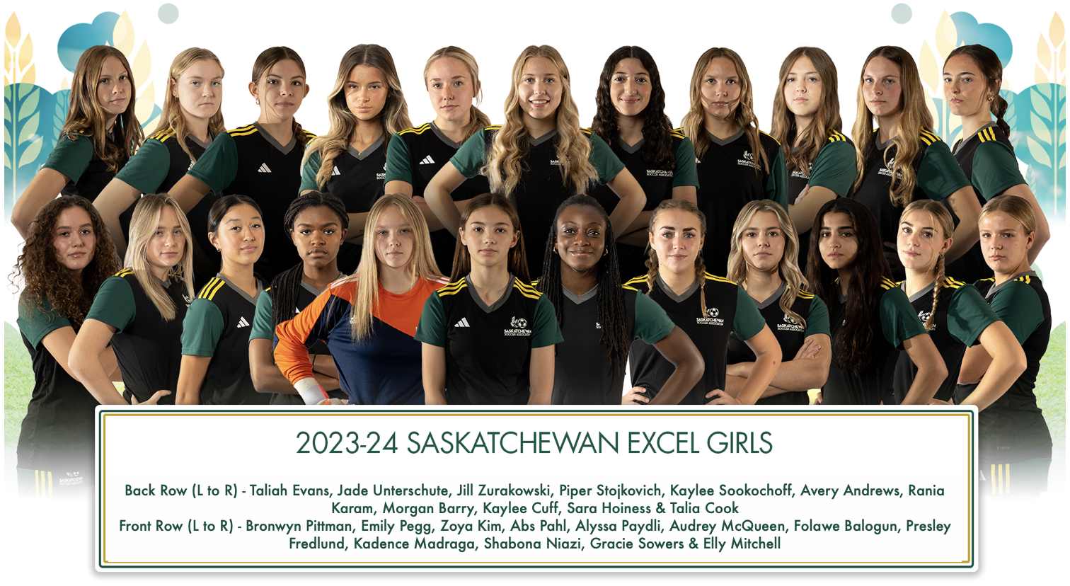 High Performance Stream - Saskatchewan Soccer Association : Website by ...
