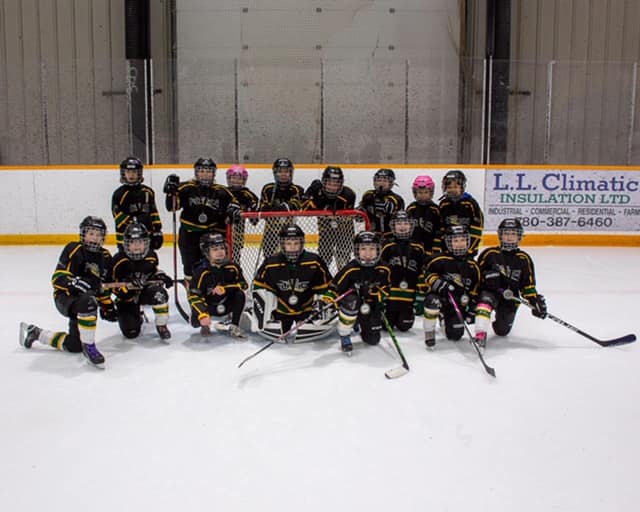 SPS Fuzion Female Hockey Club : Website by RAMP InterActive