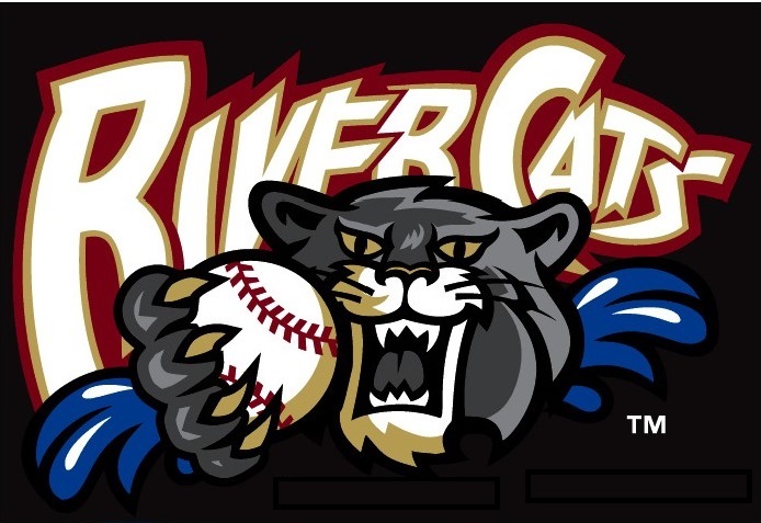 Welland Minor Baseball Association Inc. : Website by RAMP InterActive