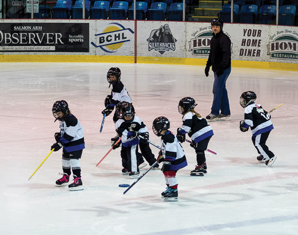 Westside Ringette Association : Website by RAMP InterActive